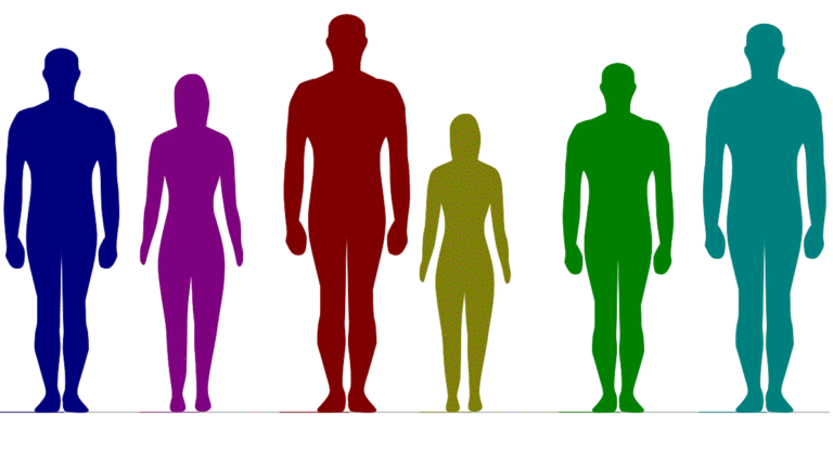 Global Male vs Female Average Heights: A Positive 2026 Look